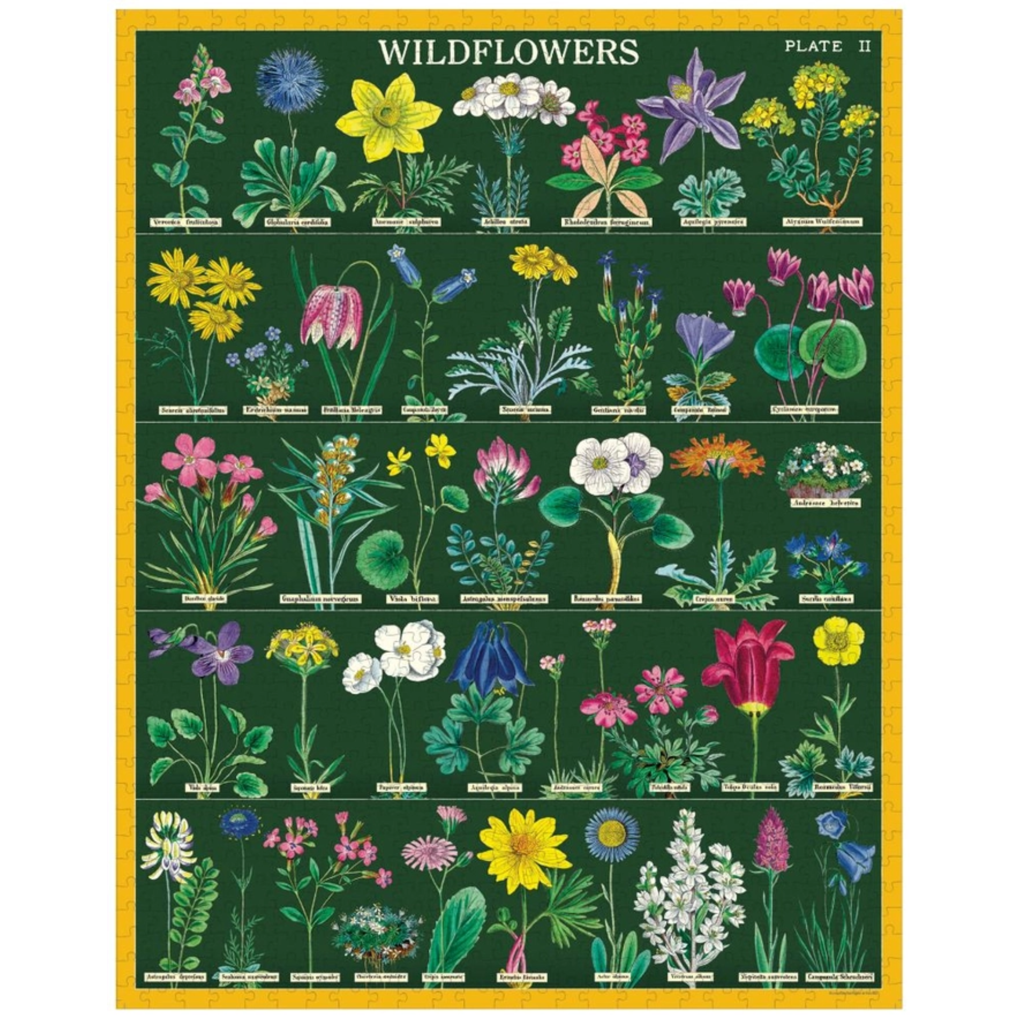 Wildflowers 1000PC Puzzle – Speckled Hen Store