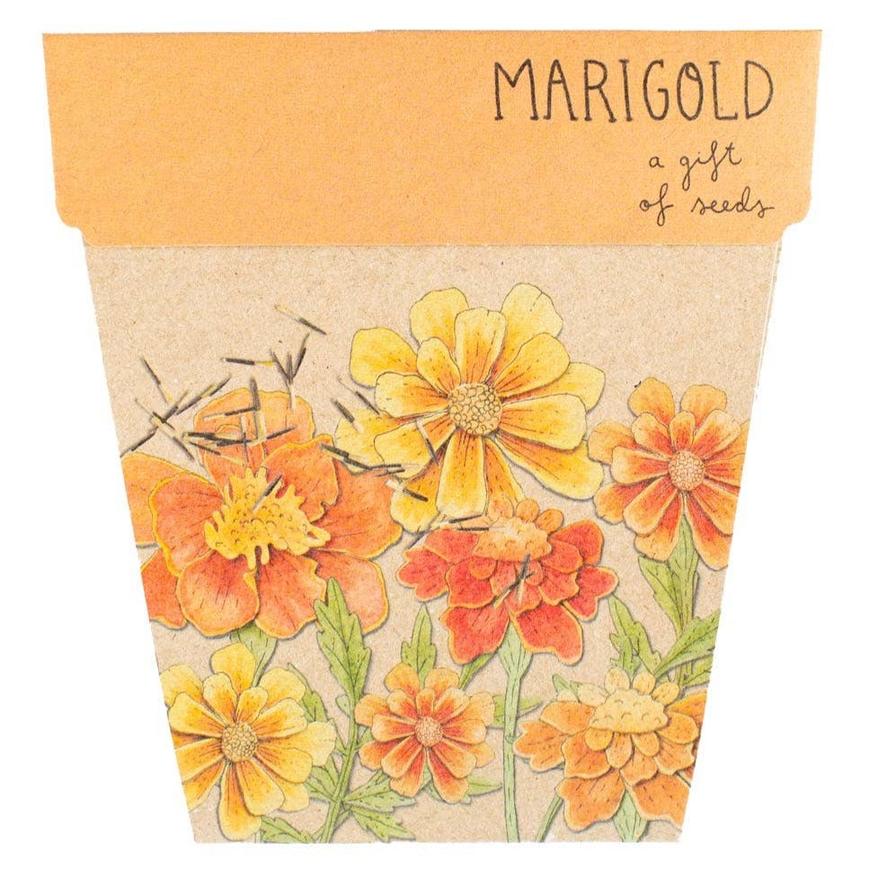 Marigolds Gift of Seeds – Speckled Hen Store